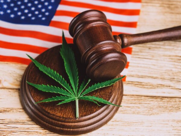 Legal Weed: What Do New Federal Marijuana Laws Mean? - ProjetoCharas